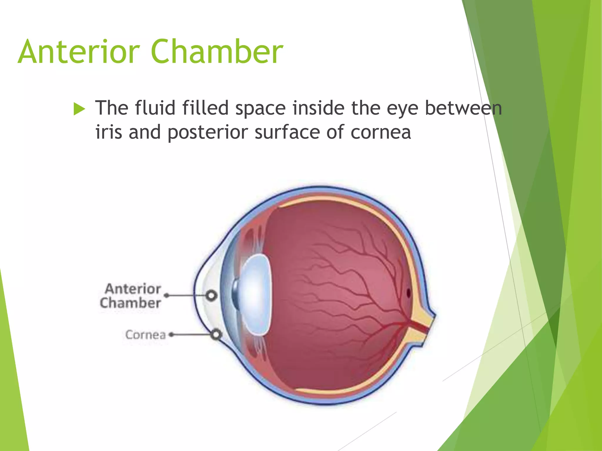 Aqueous Chamber Angle and Aqueous Humor Dynamics - Sandeep Kandel | PPTX