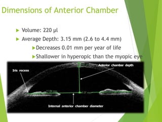 Aqueous Chamber Angle and Aqueous Humor Dynamics - Sandeep Kandel | PPT