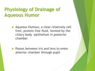 Aqueous Chamber Angle and Aqueous Humor Dynamics - Sandeep Kandel | PPT