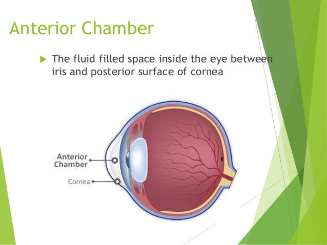 Aqueous Chamber Angle and Aqueous Humor Dynamics - Sandeep Kandel