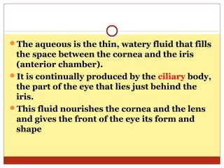Aqueous humor | PPT