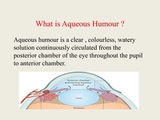anatomy of aqueous humor-Dr.Mahabub.pptx