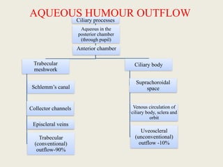 anatomy of aqueous humor-Dr.Mahabub.pptx