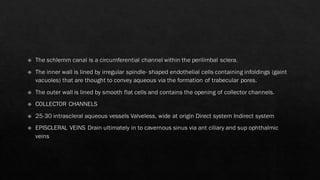 Aqueous Humor Biochemistry- Ocular Biochemistry | PPT