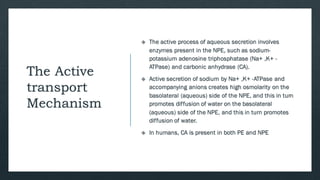 Aqueous Humor Biochemistry- Ocular Biochemistry | PPT