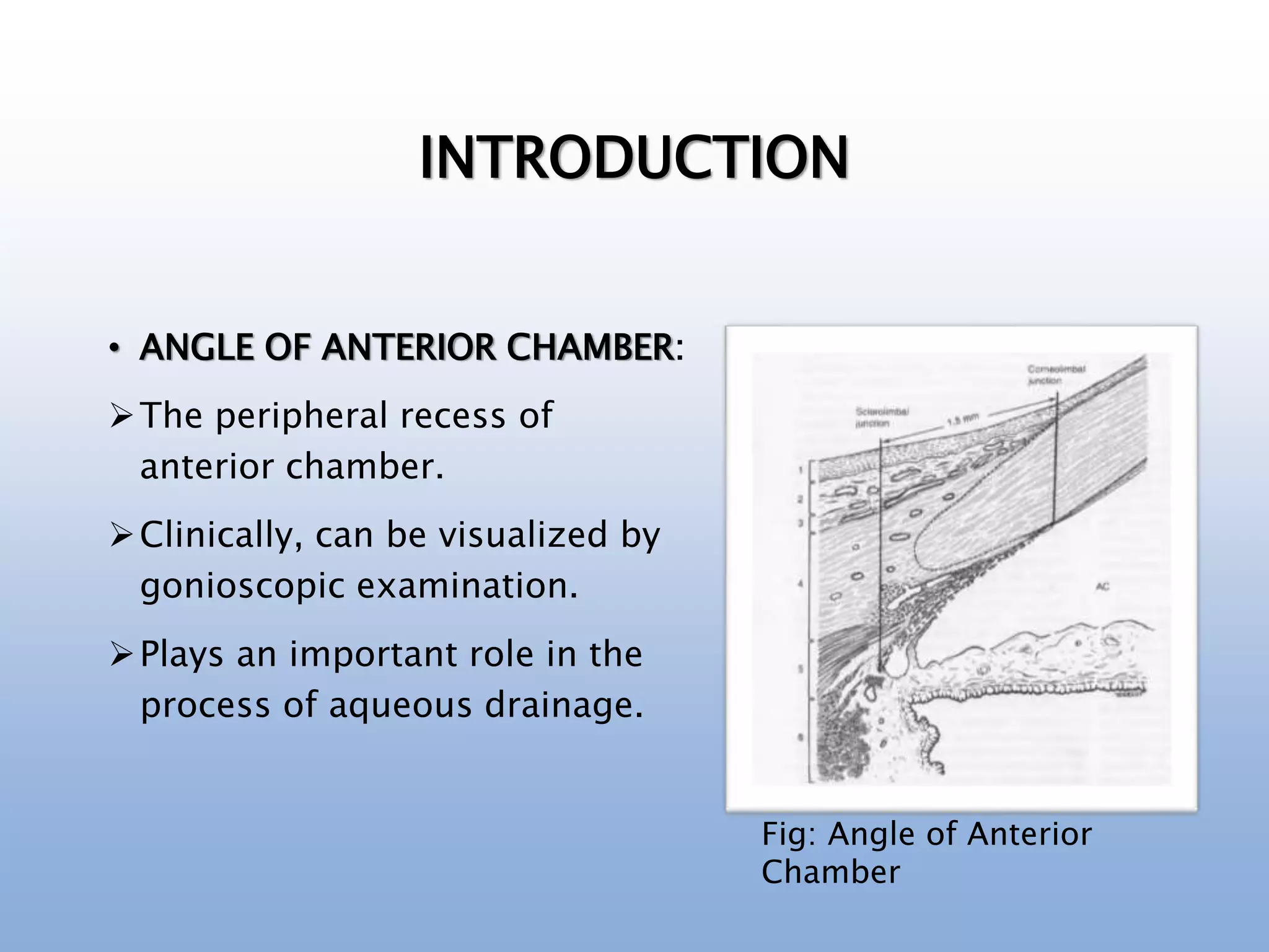 Aqueous Humor Dynamics.pptx