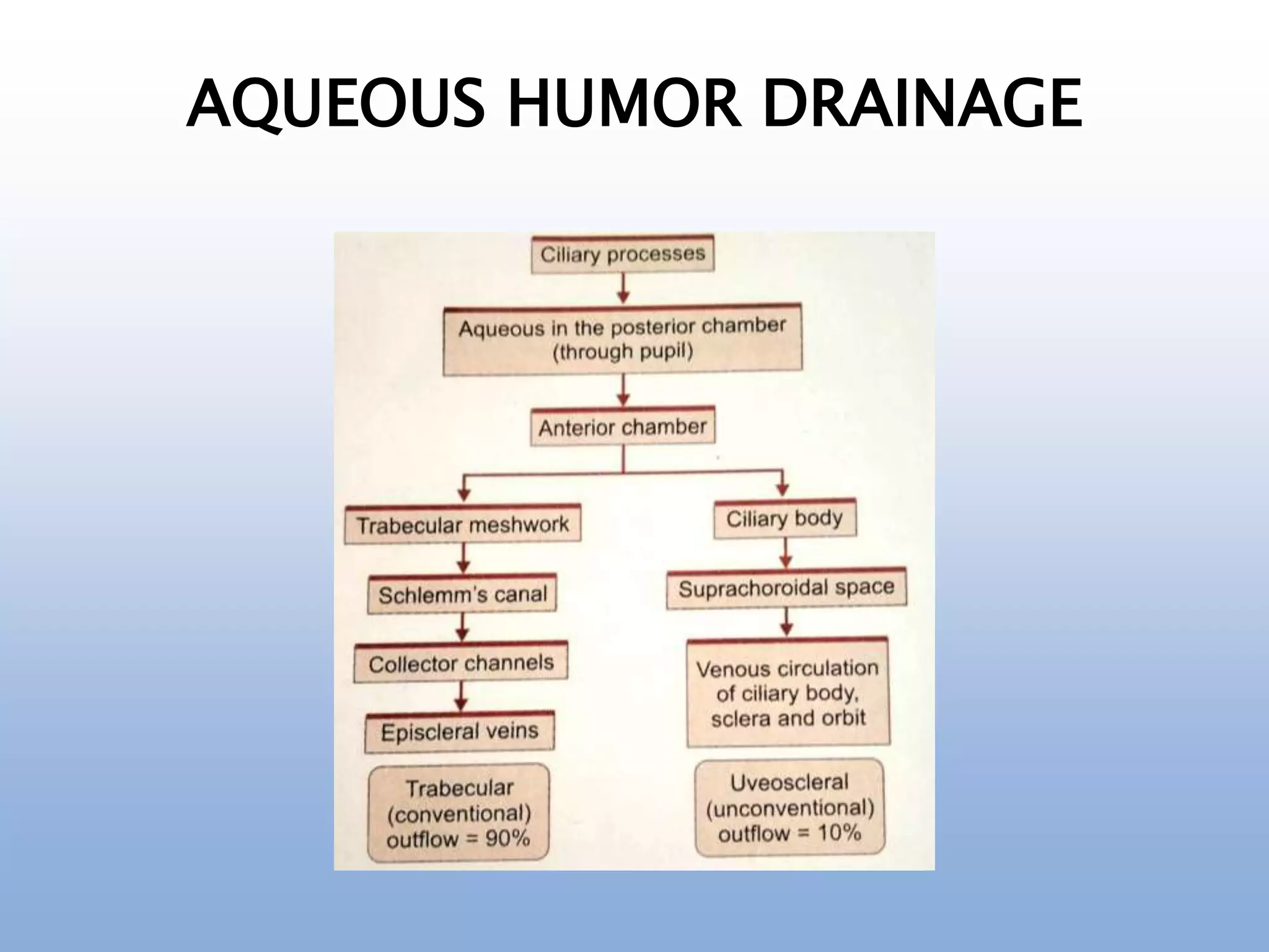 Aqueous Humor Dynamics.pptx