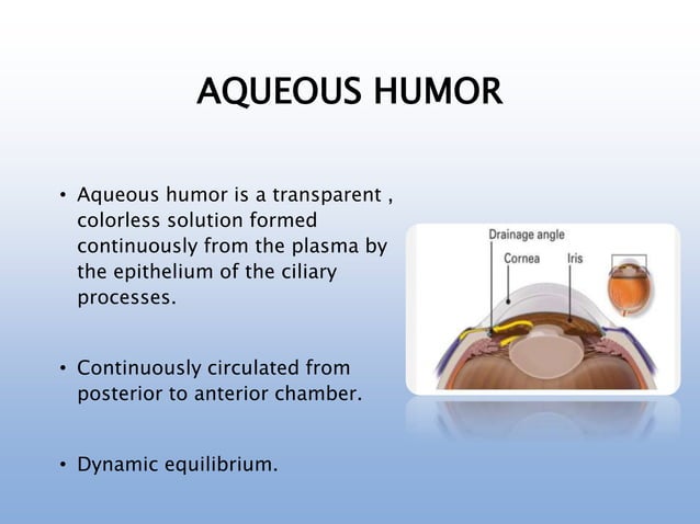 Aqueous Humor Dynamics.pptx