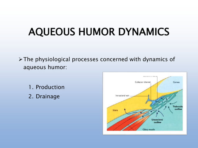 Aqueous Humor Dynamics.pptx