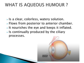 Aqueous humor dynamics(at a glance) | PPTX