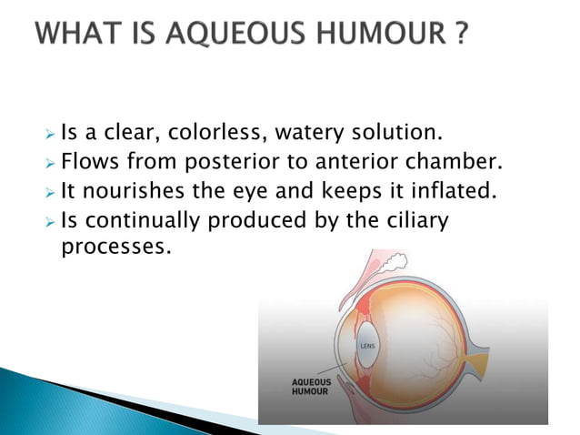 Aqueous humor dynamics(at a glance) | PPTX | Eye and Vision Conditions ...