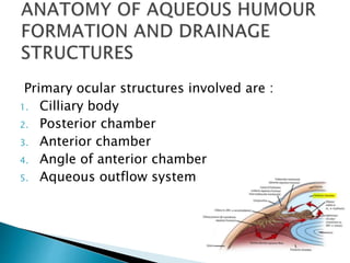 Aqueous humor dynamics(at a glance) | PPTX