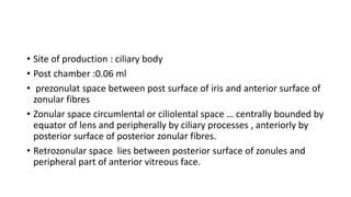 Aqueous humor ,IOP.pptx