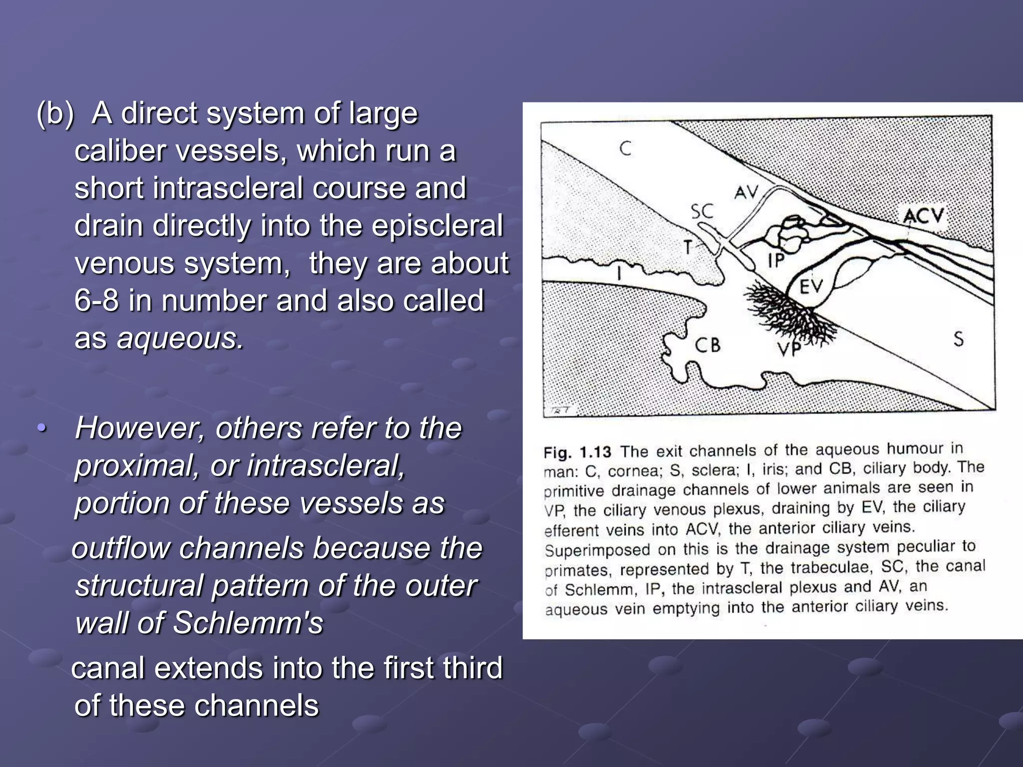Aqueous humor outflow | PPTX