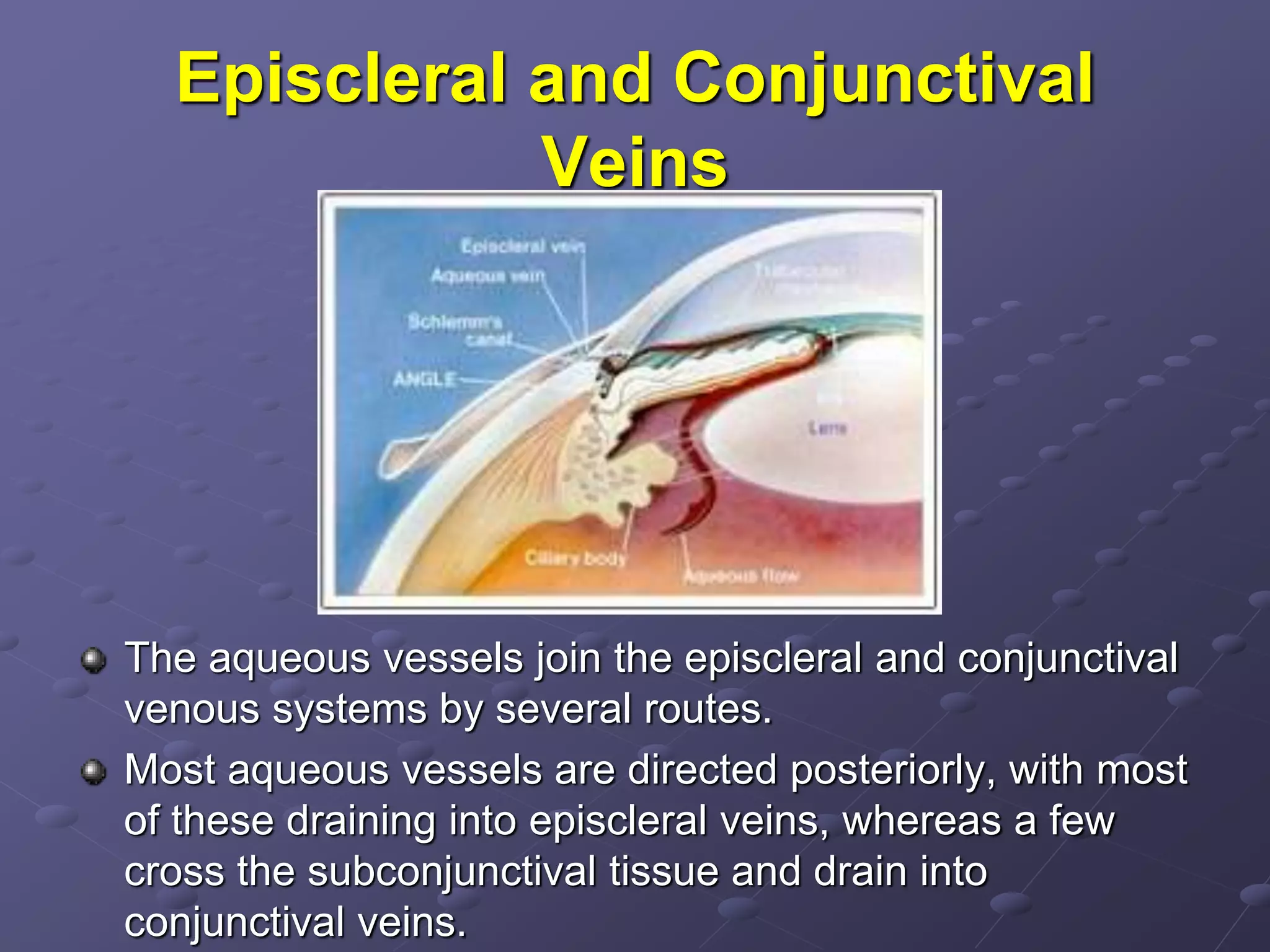 Aqueous humor outflow | PPTX