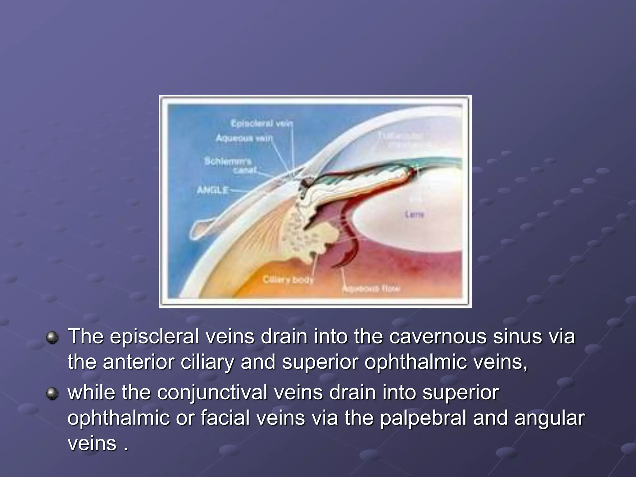 Aqueous humor outflow | PPTX
