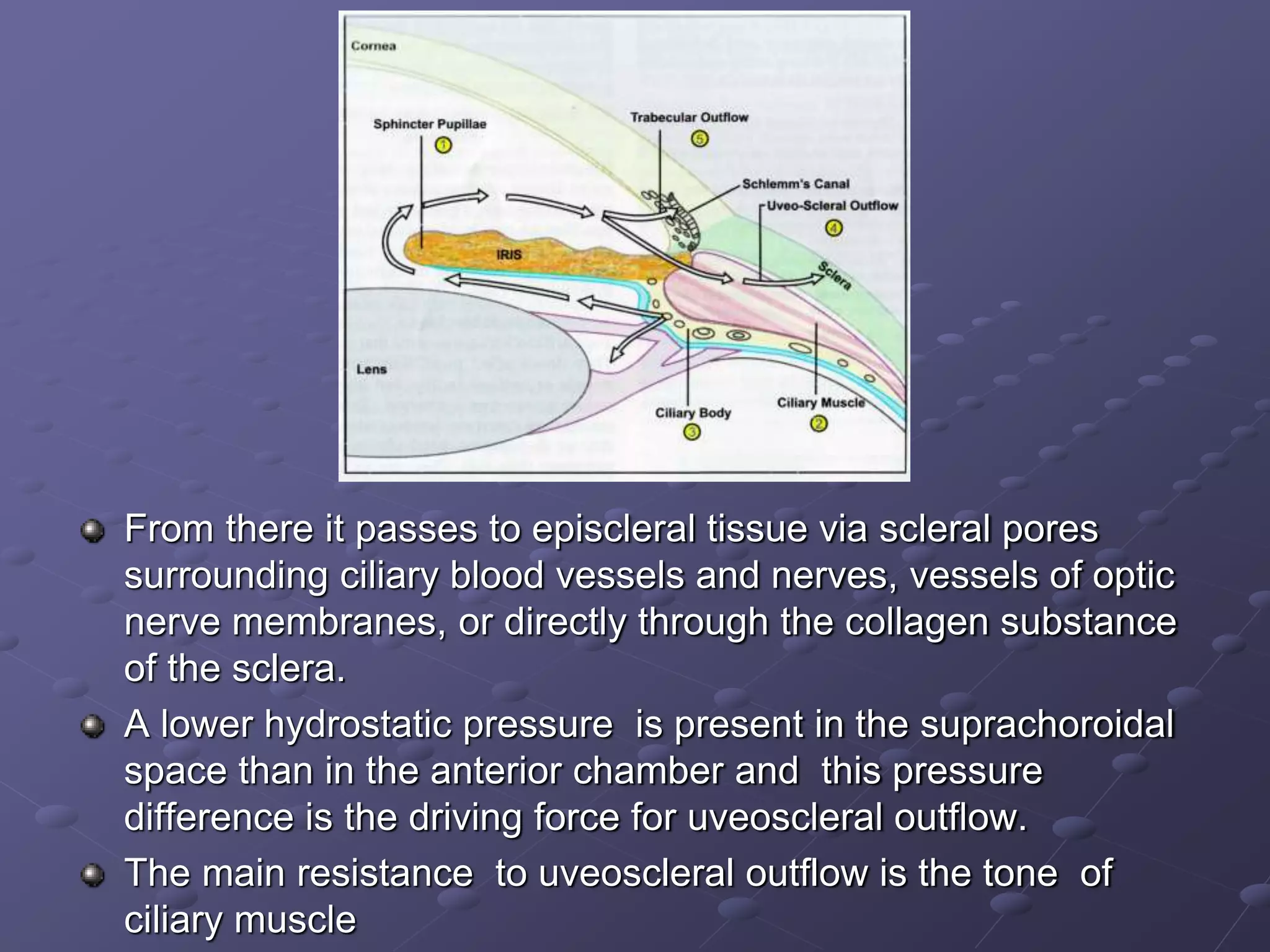 Aqueous humor outflow | PPTX