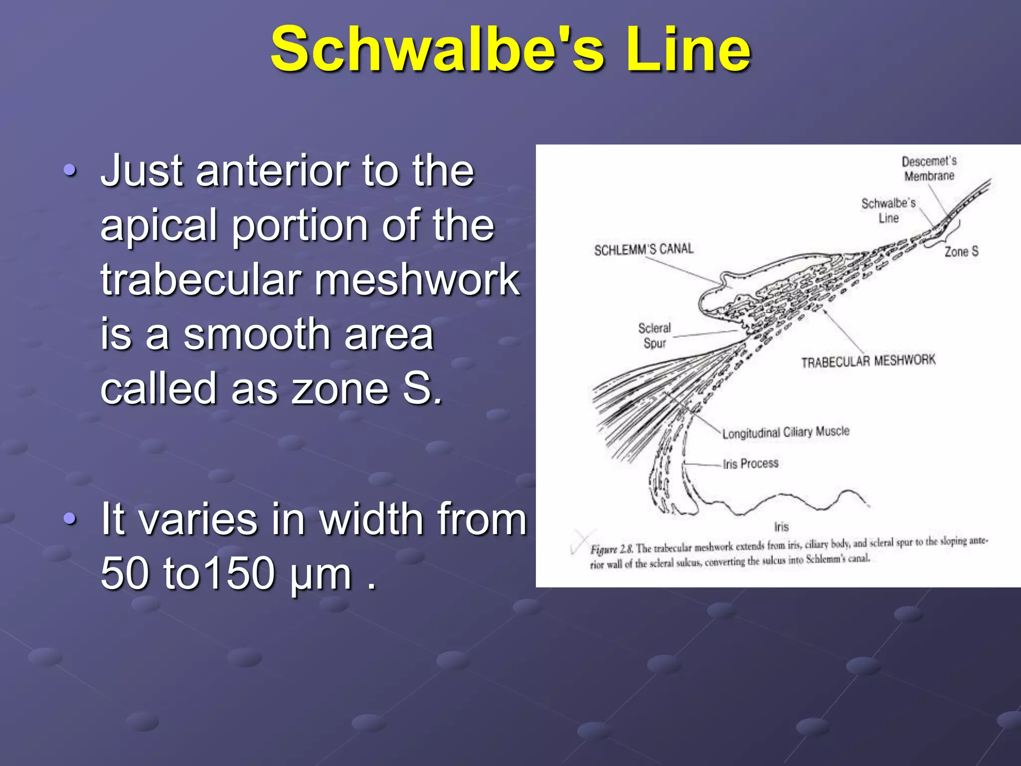 Aqueous humor outflow | PPTX