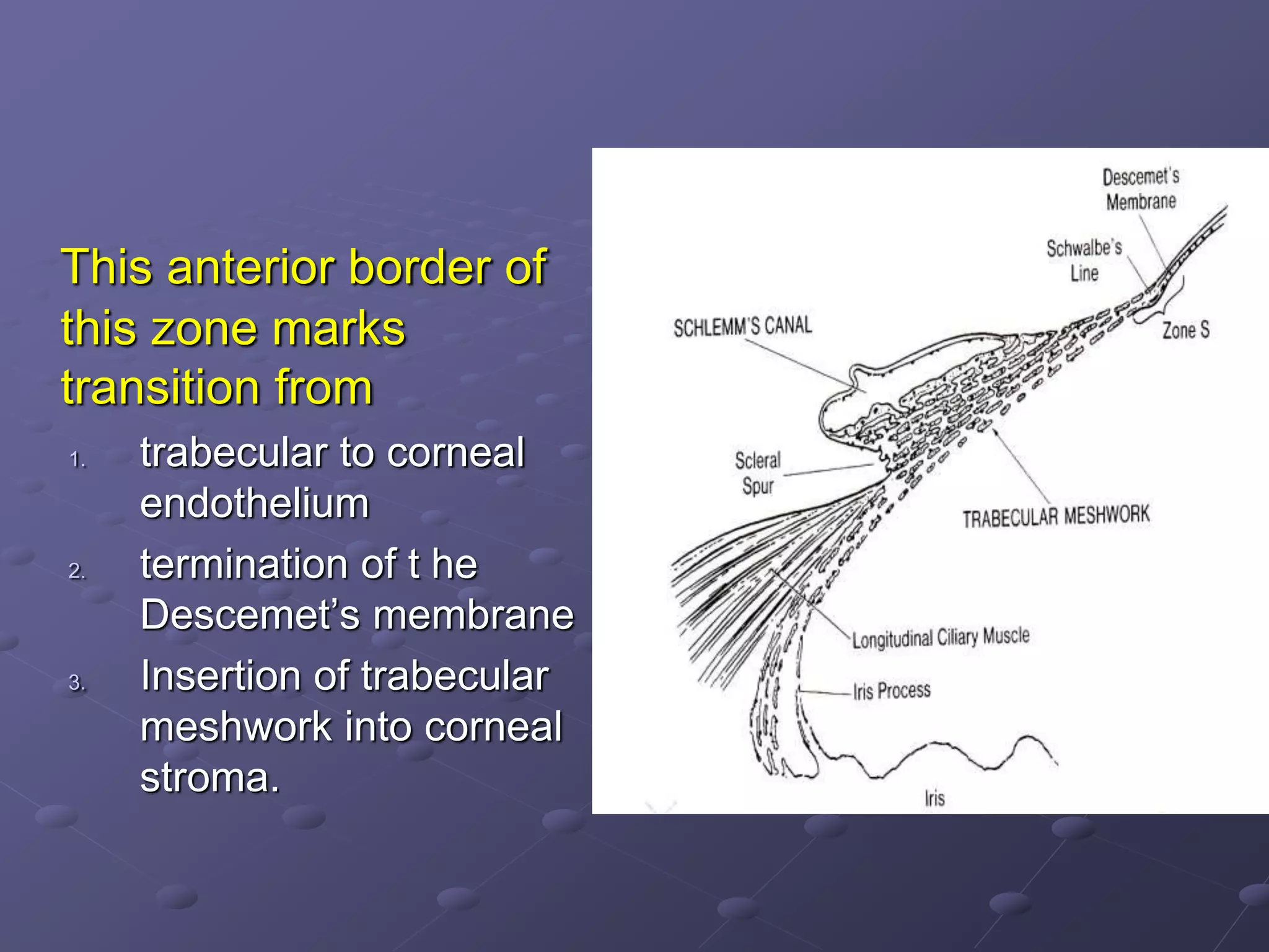 Aqueous humor outflow | PPTX