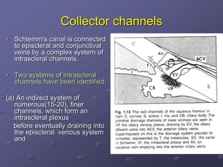 Aqueous humor outflow | PPTX