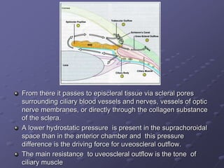 Aqueous humor outflow | PPTX