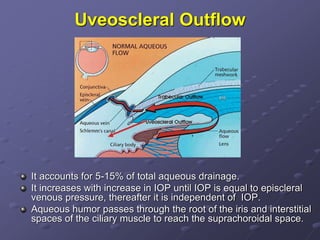 Aqueous humor outflow | PPT