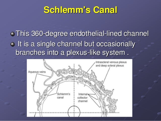 Aqueous humor outflow
