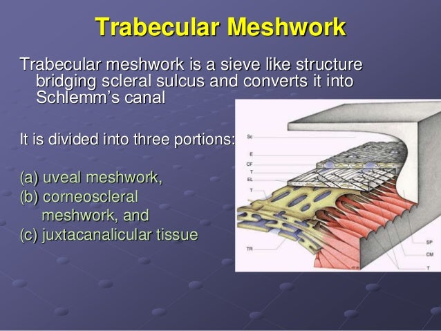 Aqueous humor outflow