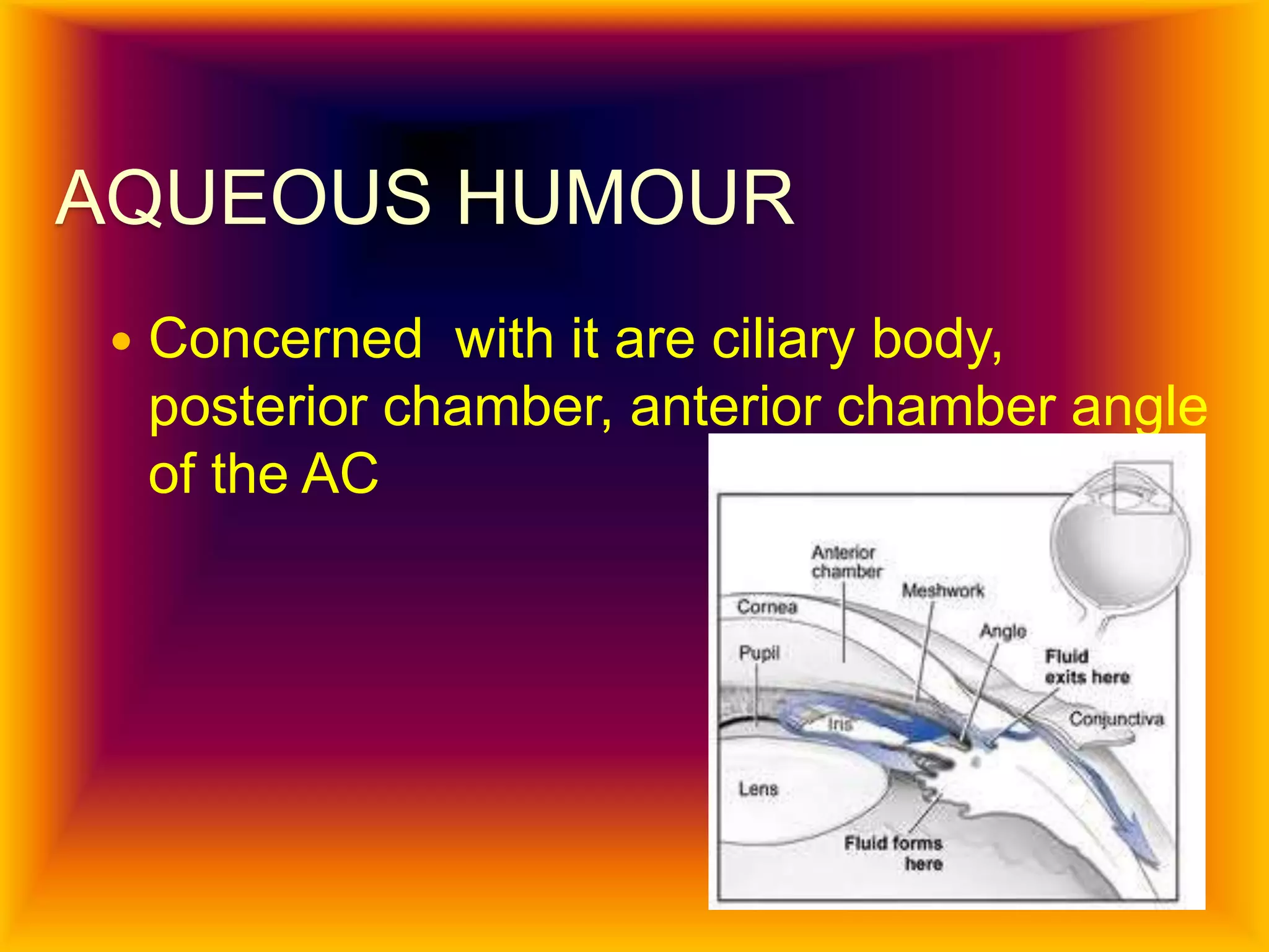 Aqueous humour | PPT