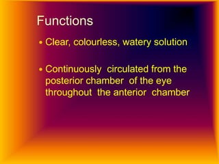 Aqueous humour | PPT