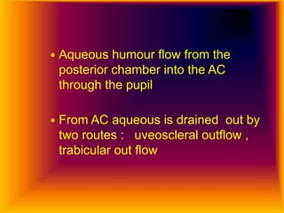 Aqueous humour | PPT