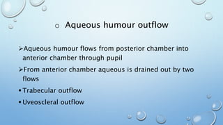 Aqueous humour | PPTX | Eye and Vision Conditions | Diseases and Conditions