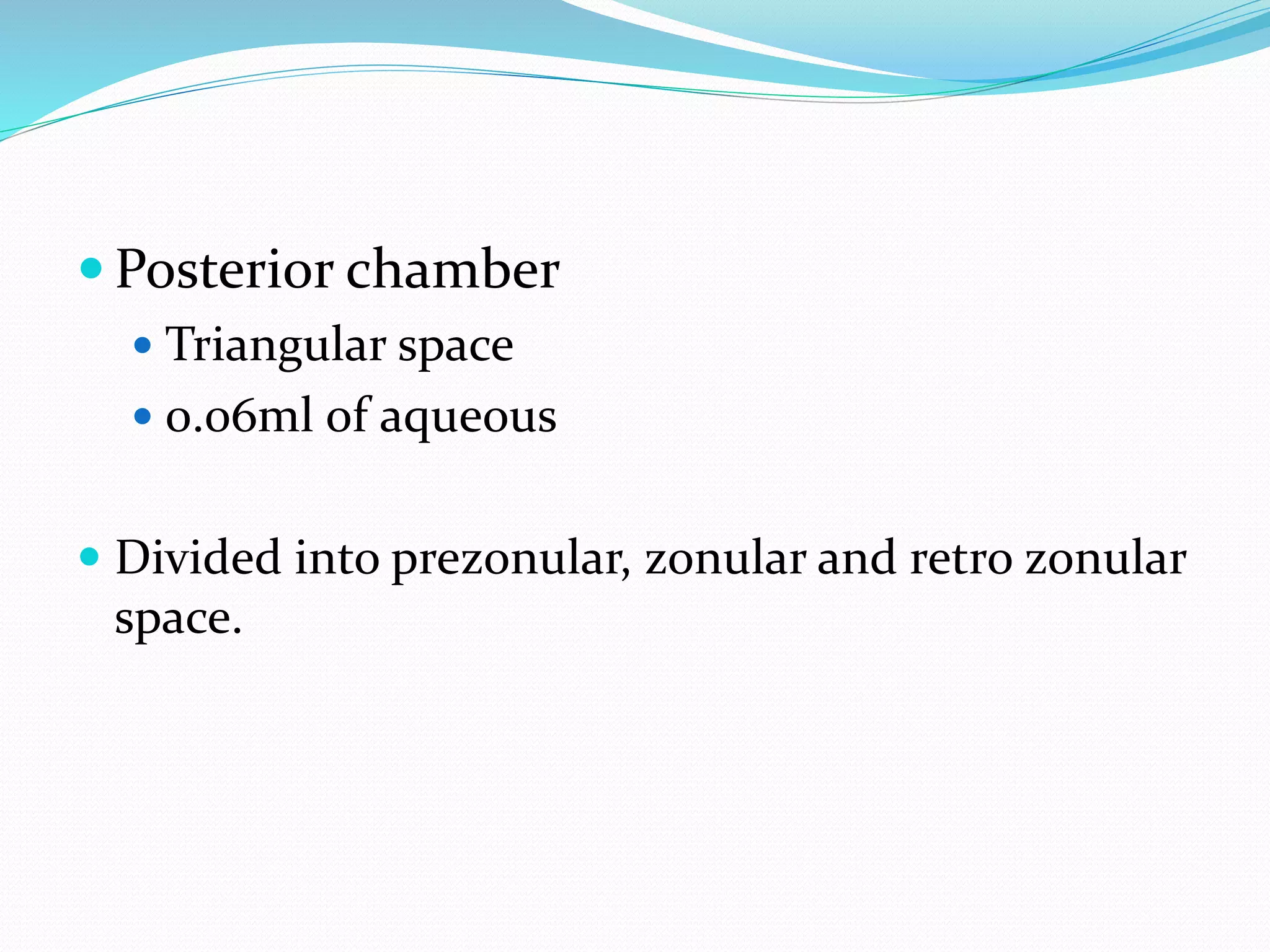 Aqueous humour dynamics | PPTX