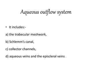 Aqueous humour dynamics | PPTX