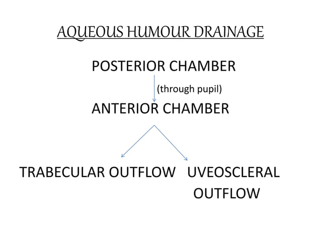 Aqueous humour dynamics | PPTX | Eye and Vision Conditions | Diseases ...