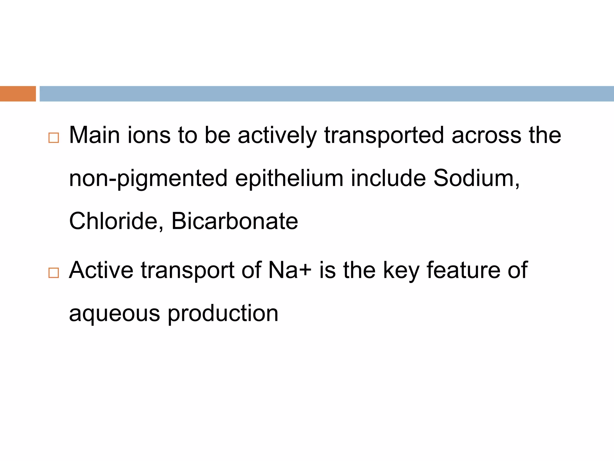 Aqueous humour dynamics | PPTX