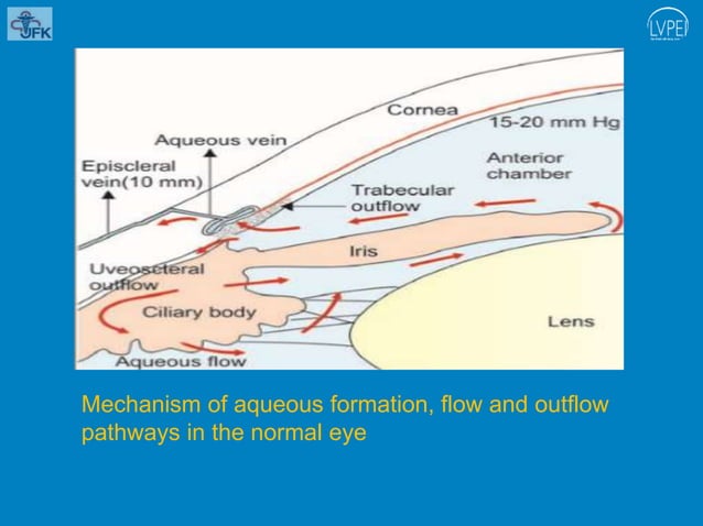 AQUEOUS HUMOUR DYNAMICS.pptx
