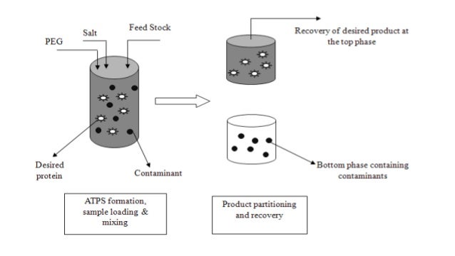 Aqueous two phase extraction
