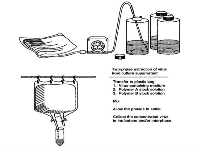 Factors Effecting Partition In Aqueous Two Phase Systems