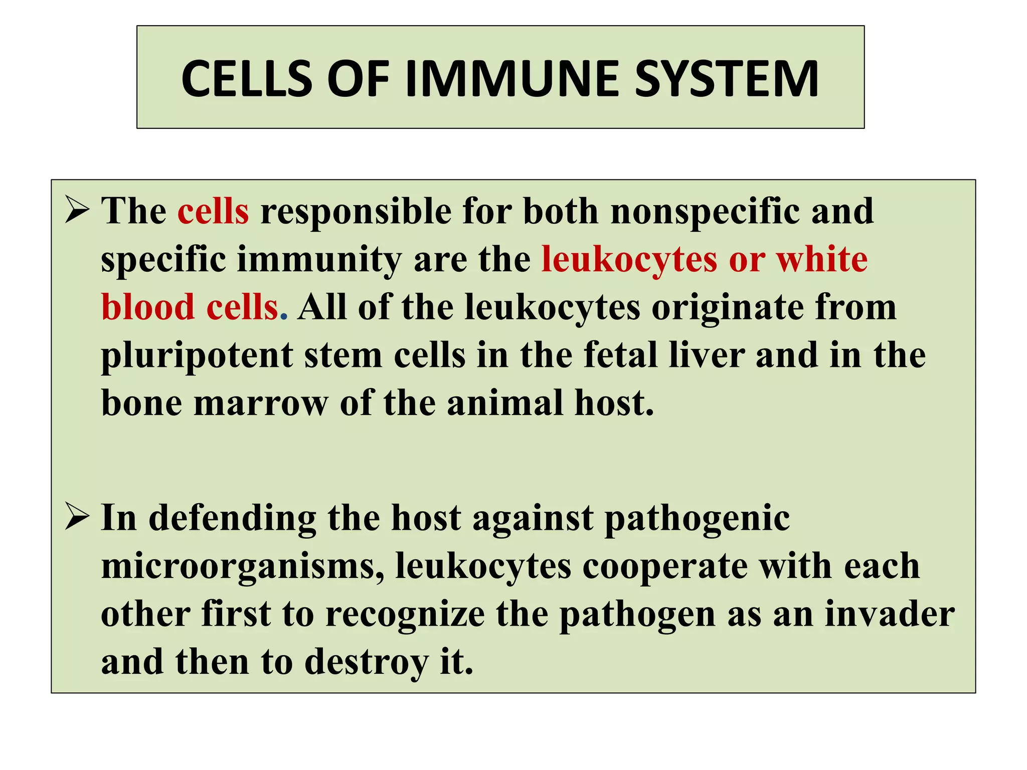 CELLS OF IMMUNE SYSTEM | PPTX
