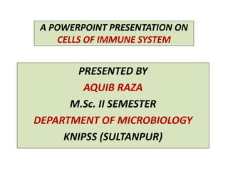 CELLS OF IMMUNE SYSTEM | PPTX