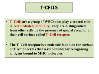 CELLS OF IMMUNE SYSTEM | PPTX