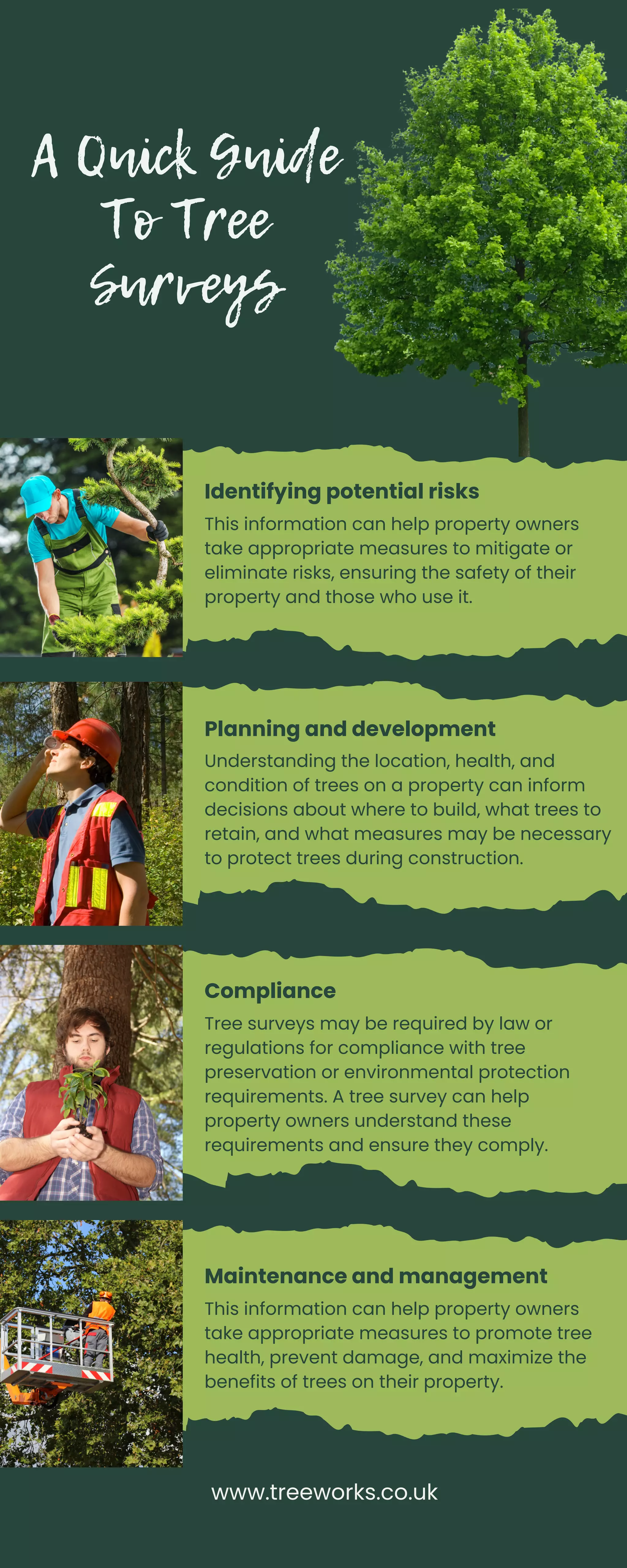 A Quick Guide To Tree Surveys.pdf