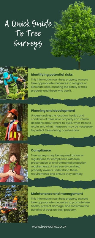 A Quick Guide To Tree Surveys.pdf