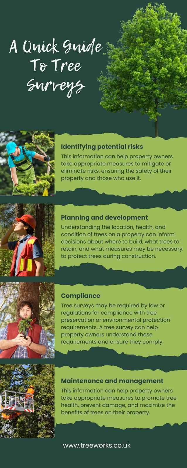 A Quick Guide To Tree Surveys.pdf