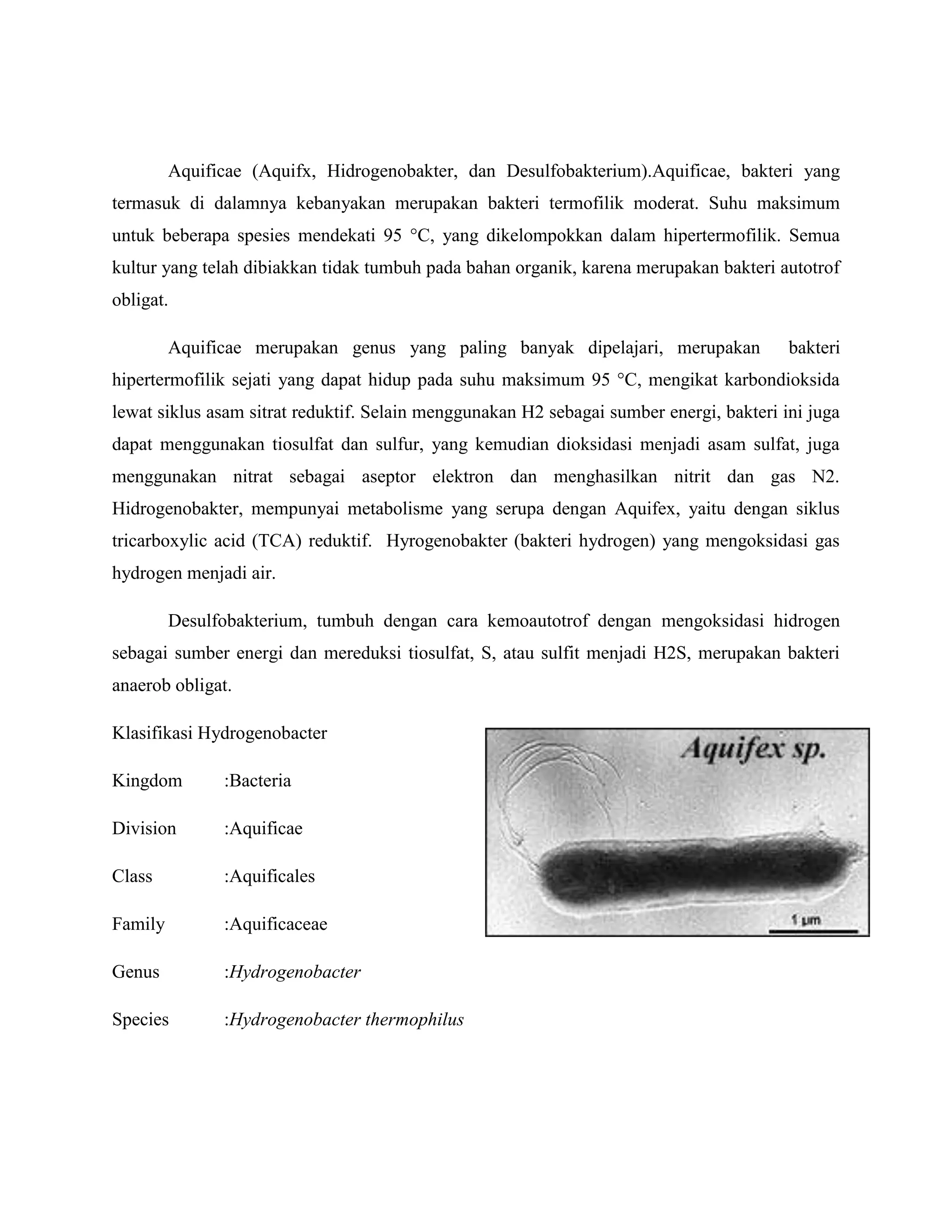 Aquificae bacteri | PDF