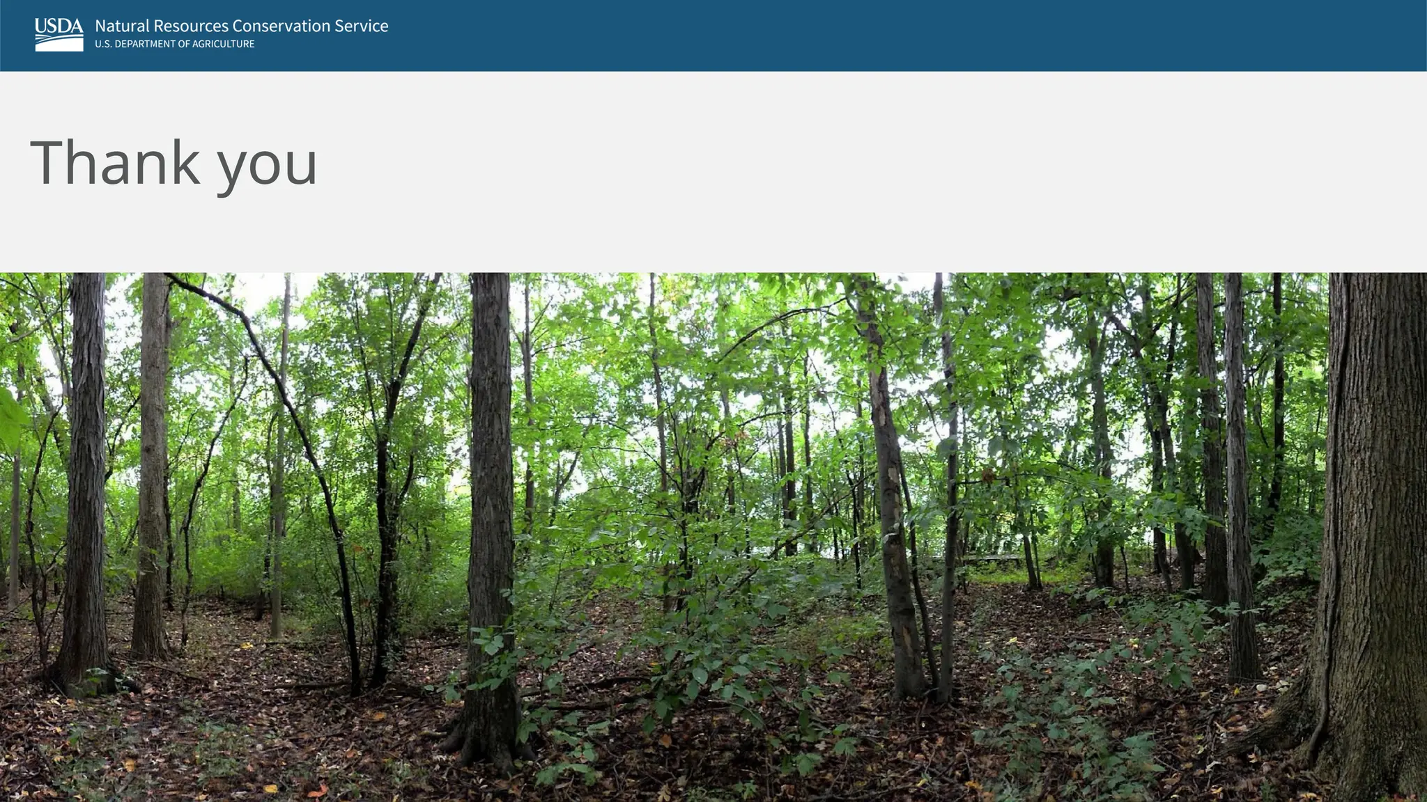 USDA-NRCS Technical Service Provider (TSP) Program: An Overview of ...