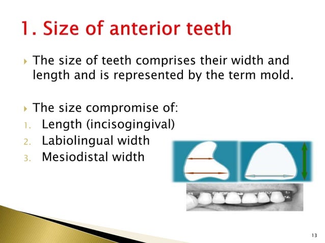 selecting artificial tooth | PPTX | Dental Health | Diseases and Conditions