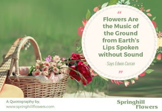 A Quotography on Fresh Flower Delivery | PPT