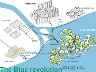 Aquaculture and Aquaponics: Going back to basics | PDF